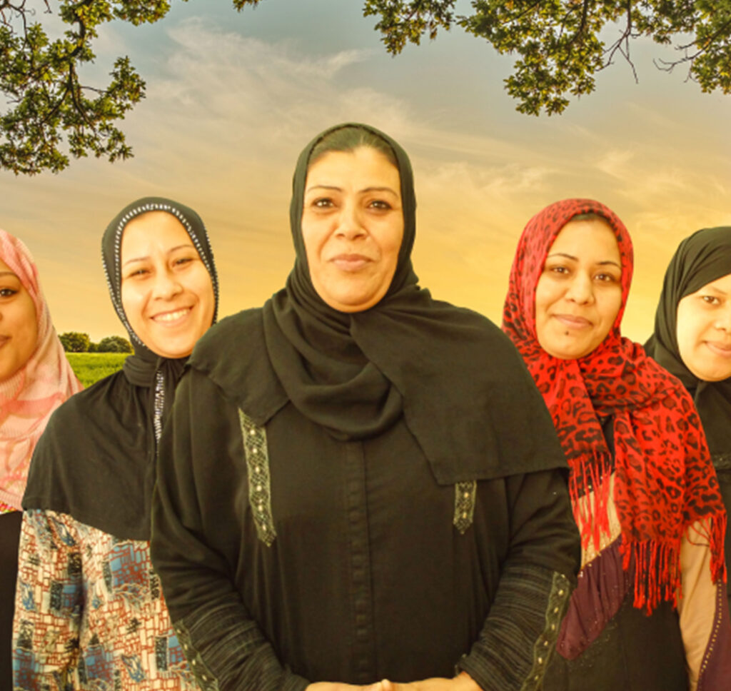 Lead Foundation - Mansour Group